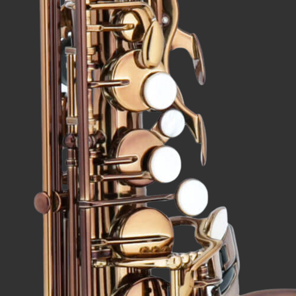 Chateau Alto Saxophone Chambord 50 Series (Cognac) - CAS50C | Palen ...